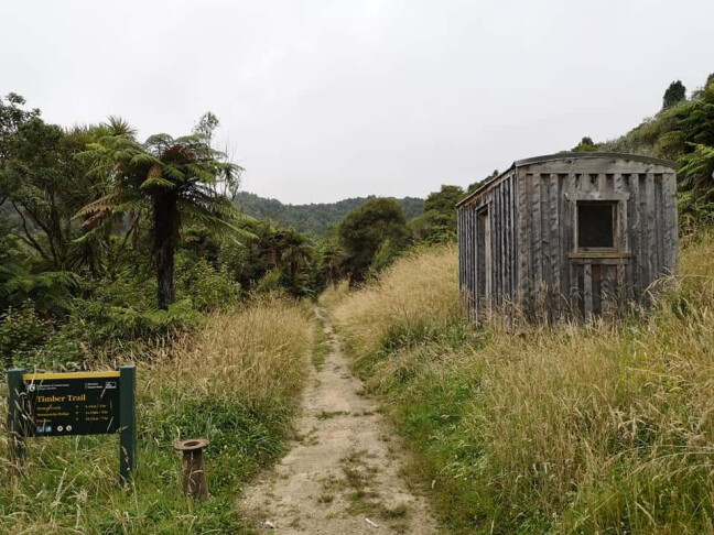 Camp No. 11 - Pureora Forest Park, Manawatū-Whanganui | Hut Bagger