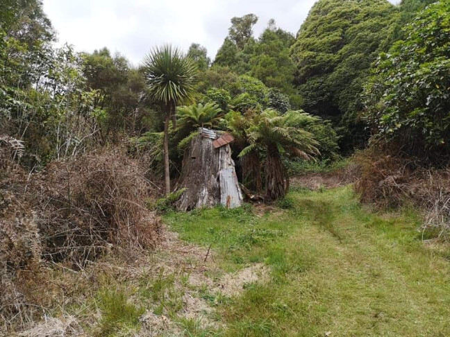 Tree Stump Hut (delapidated) - Pureora Forest Park, Waikato | Hut Bagger