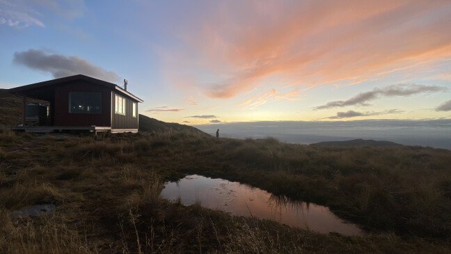 Mataketake Hut (Andy Dennis Hut) - Cook River / Weheka to Haast River ...