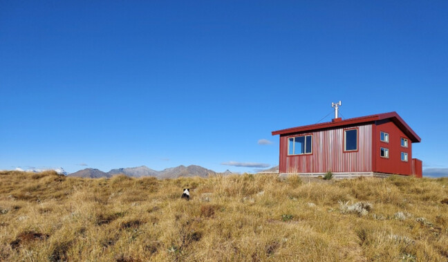 Mataketake Hut (Andy Dennis Hut) - Cook River / Weheka to Haast River ...
