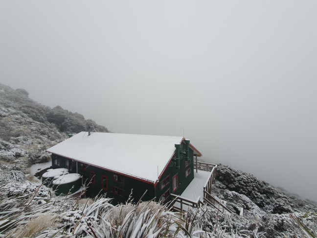Powell Hut No. 4 - Tararua Forest Park, Wellington | Hut Bagger