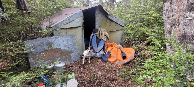Cerberus Bivi - Snowdon Forest, Southland | Hut Bagger