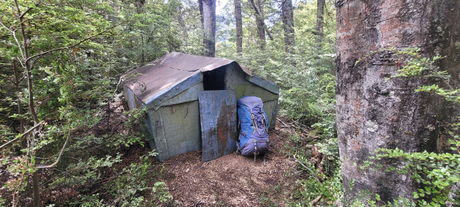 Cerberus Bivi - Snowdon Forest, Southland | Hut Bagger