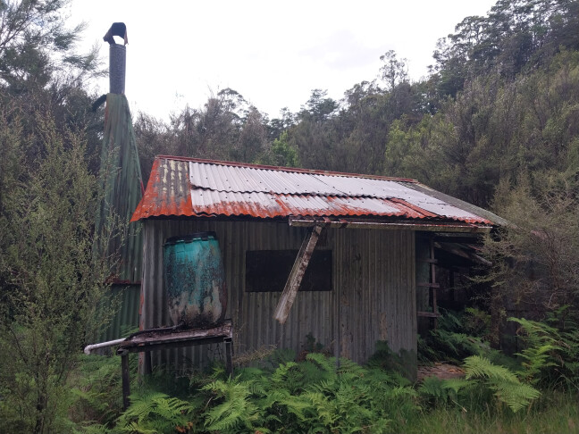 Green Hut - Victoria Forest Park, West Coast | Hut Bagger