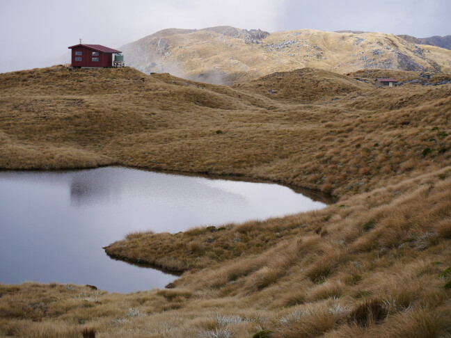 Mataketake Hut (Andy Dennis Hut) - Cook River / Weheka to Haast River ...