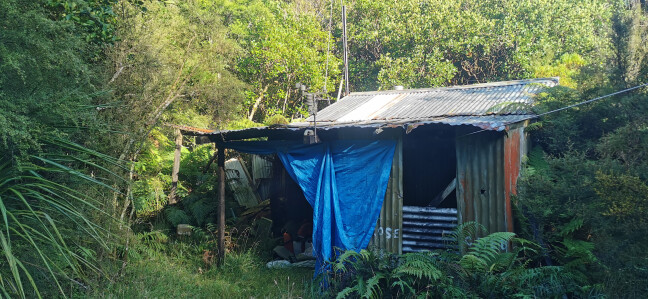 Whataroa Junction Hut - Stewardship Land, West Coast | Hut Bagger