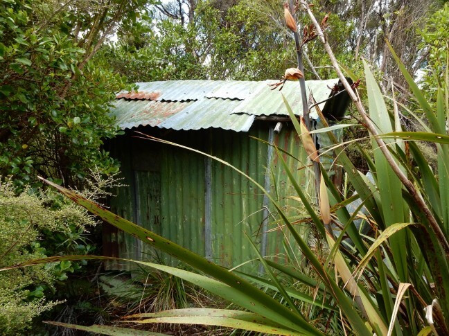 Little Green Hut - Silverpeaks Scenic Reserve, Otago | Hut Bagger