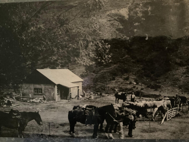 Bush Gully Hut No. 2 - Molesworth Recreation Reserve, Canterbury | Hut ...