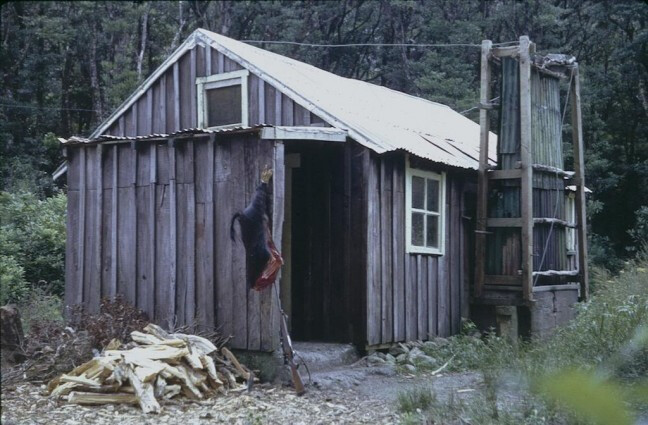 Totara Flats Hut No. 1 - Tararua Forest Park, Wellington | Hut Bagger