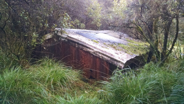 Singer's Hut (Bark Hut) - Stewardship Land, West Coast | Hut Bagger