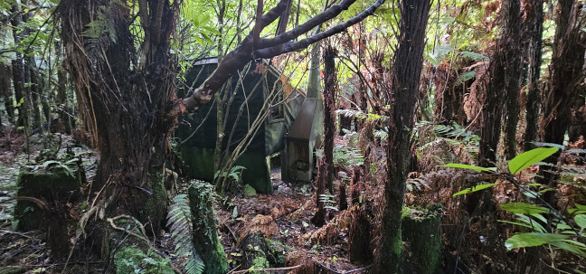 Tiritea Hut - Tiritea Reserve, Manawatū-Whanganui | Hut Bagger