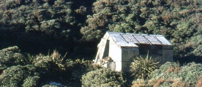 Bannister Basin Hut - Tararua Forest Park, Wellington | Hut Bagger