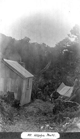 Alpha Hut No. 1 - Tararua Forest Park, Wellington | Hut Bagger