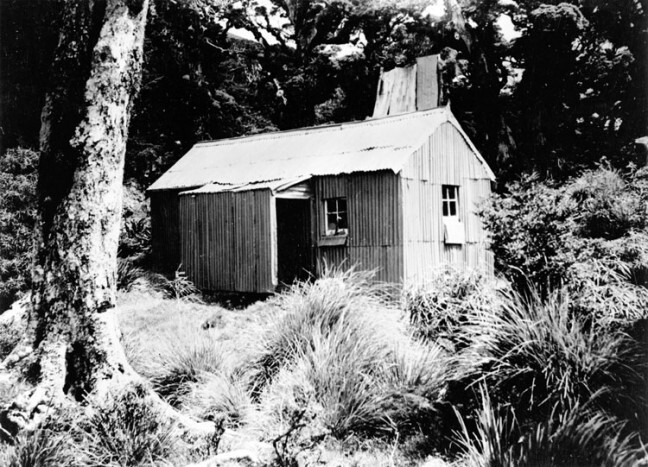 Alpha Hut No. 1 - Tararua Forest Park, Wellington | Hut Bagger