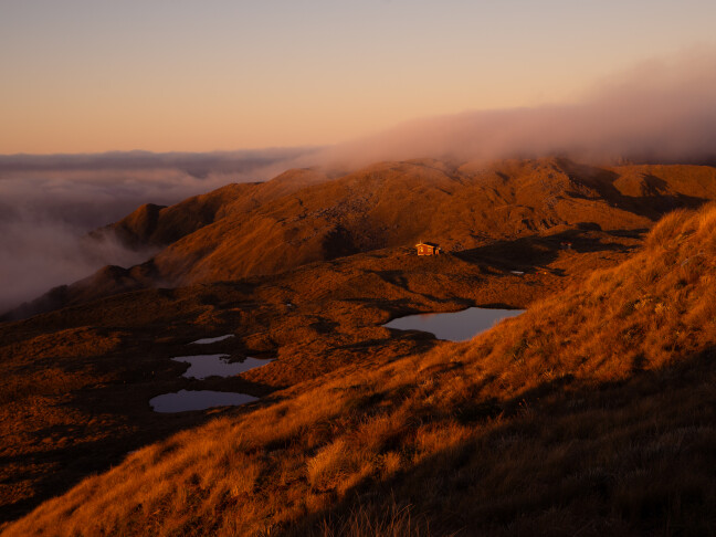 Mataketake Hut (Andy Dennis Hut) - Cook River / Weheka to Haast River ...