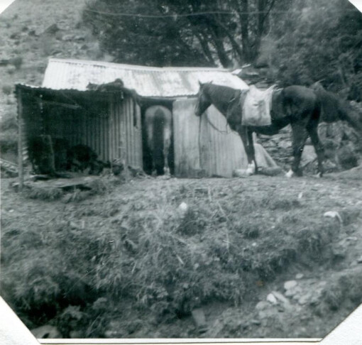 Tin Hut - Pastoral lease, Otago | Hut Bagger