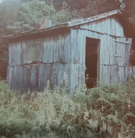 Hunters Hut (old) - Stewardship Land, West Coast | Hut Bagger