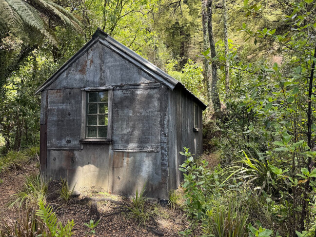 Pigeon Saddle Roadman's Hut - Abel Tasman National Park, Nelson/Tasman ...