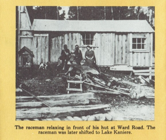Kaniere Water Race Hut - Stewardship Land, West Coast | Hut Bagger