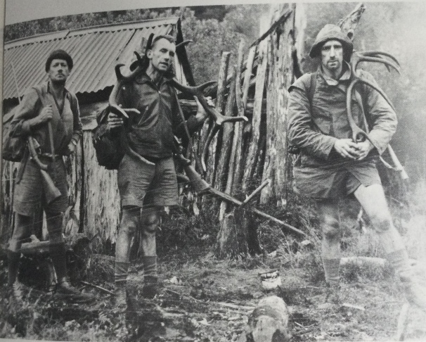 Vincent Creek Hut (Hopeful Hut) - Stewardship Land, West Coast | Hut Bagger