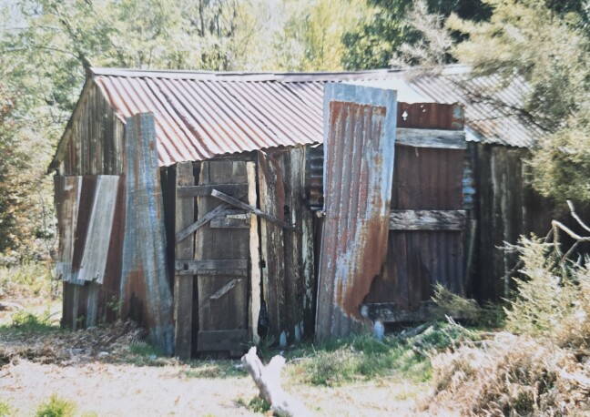 Whataroa Junction Hut (old) - Stewardship Land, West Coast | Hut Bagger