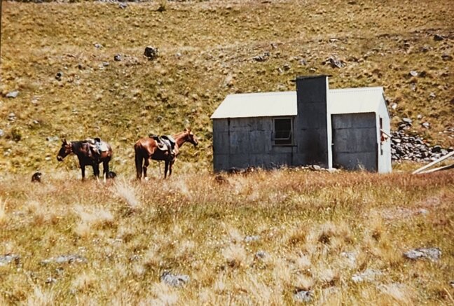 Team Hut - Molesworth Recreation Reserve, Marlborough | Hut Bagger