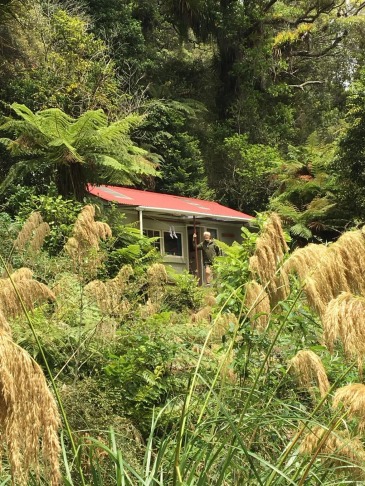 Whakapara Hut (Hut 46) - Remutaka Forest Park, Wellington | Hut Bagger