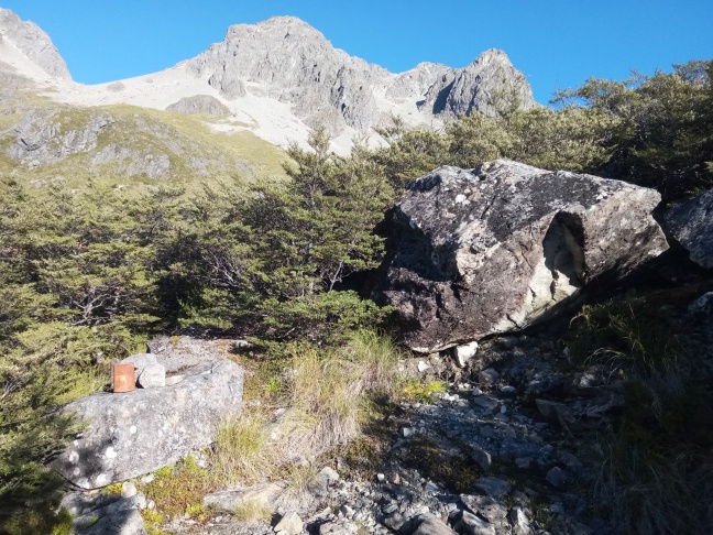 Cupola Basin Hide - Nelson Lakes National Park, Nelson/Tasman | Hut Bagger