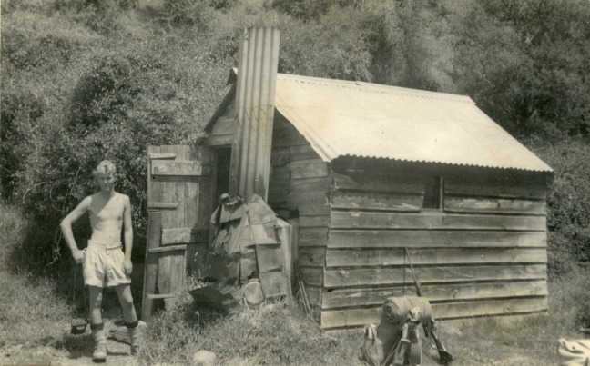 Hope Hut (old) [(Three Mile Hut (old)] - Poplars Station, Canterbury ...