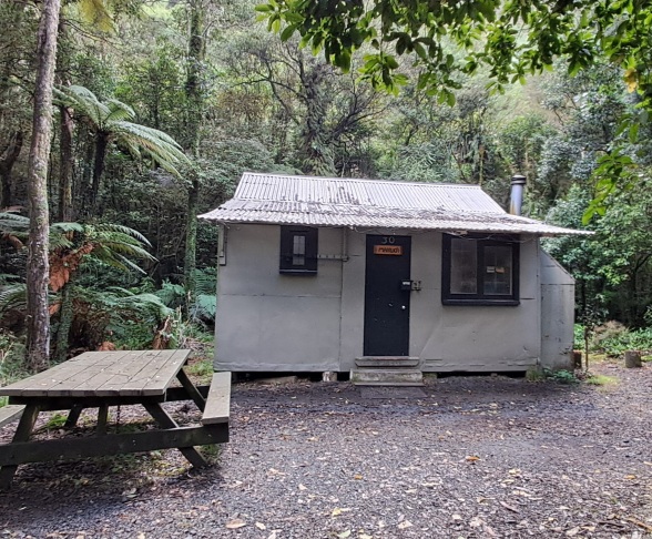 Manuka Hut (Hut 30) - Remutaka Forest Park, Wellington | Hut Bagger