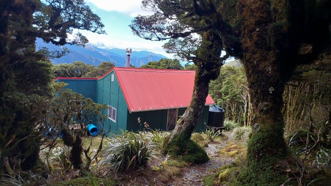 Alpha Hut No. 3 - Tararua Forest Park, Wellington | Hut Bagger