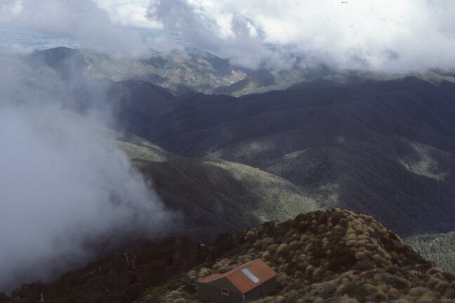 Powell Hut No. 1 - Tararua Forest Park, Wellington | Hut Bagger