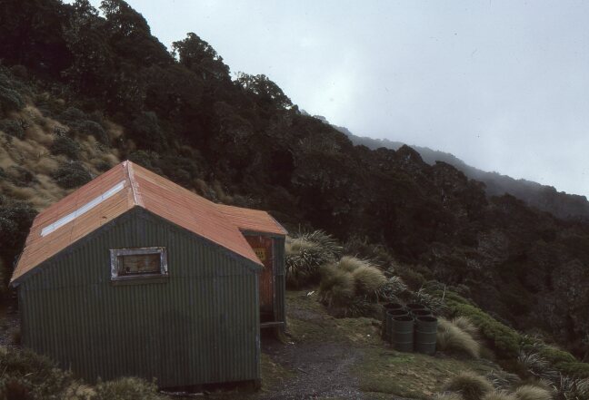 Powell Hut No. 1 - Tararua Forest Park, Wellington | Hut Bagger