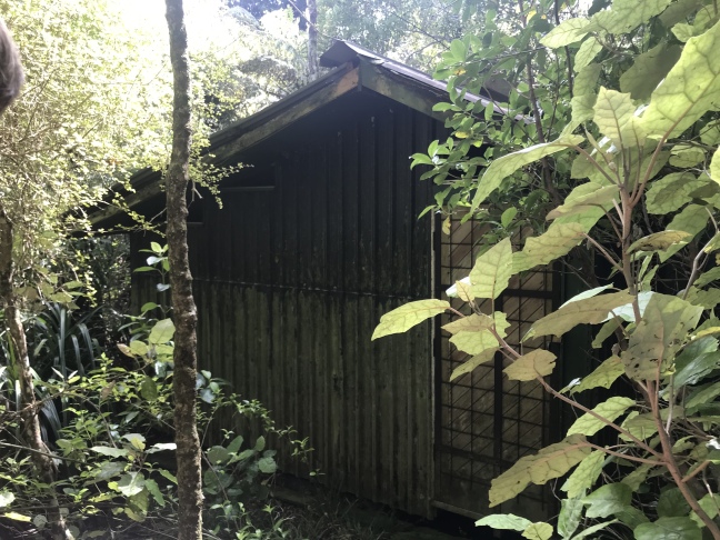 Ranger's Hut (Butterfly Creek Hut) - East Harbour Regional Park ...