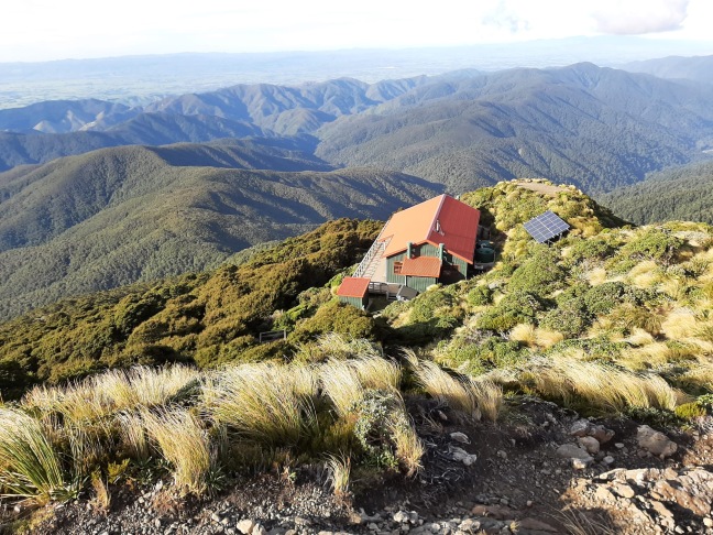 Powell Hut No. 4 - Tararua Forest Park, Wellington | Hut Bagger