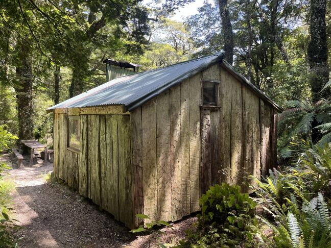 Cone Hut - Tararua Forest Park, Wellington | Hut Bagger