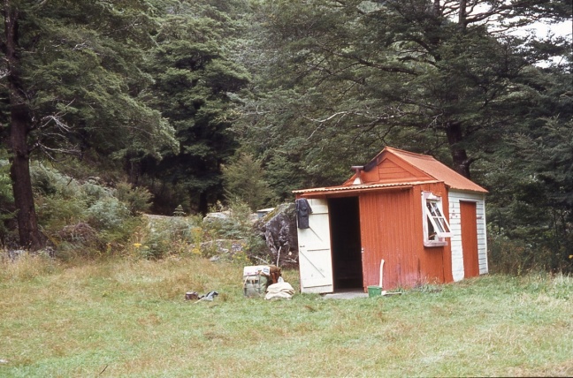 Rolling Junction Hut - Kahurangi National Park, Nelson/Tasman | Hut Bagger