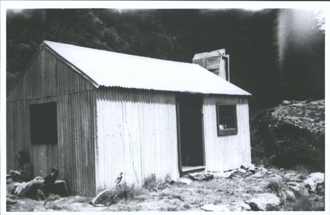 Dart Hut No. 1 (Snowy Creek Hut) - Mount Aspiring National Park, Otago ...