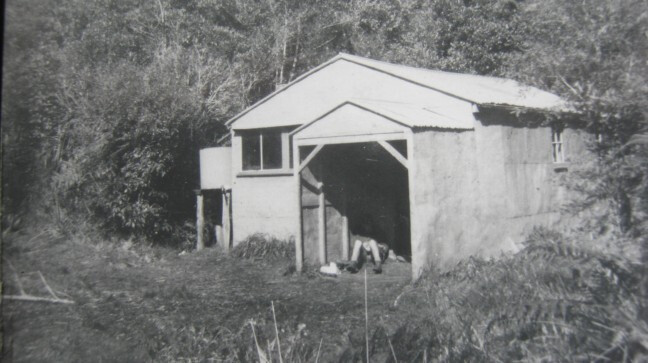Ohau Hut No. 2 - Tararua Forest Park, Manawatū-Whanganui | Hut Bagger