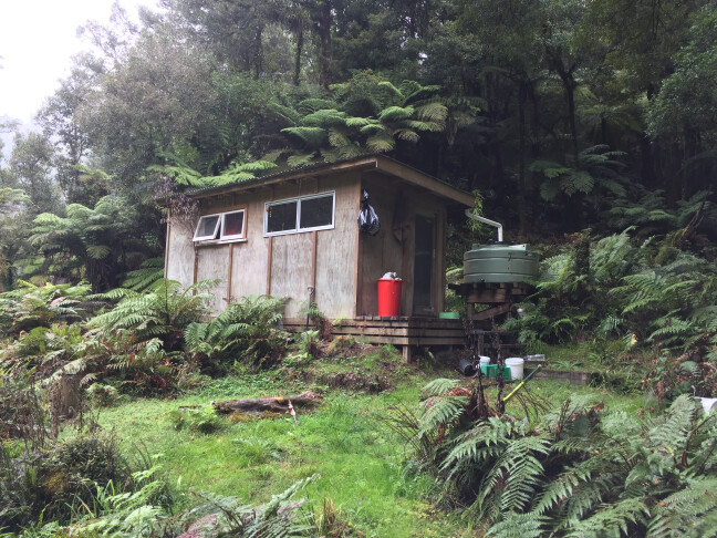 Ngatamatea Hut - Te Urewera, Bay of Plenty | Hut Bagger