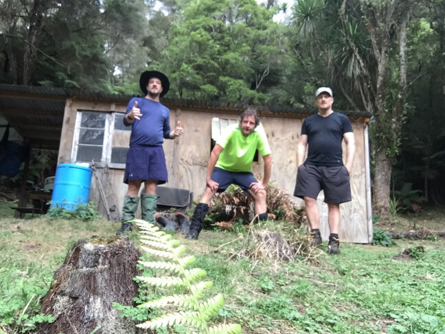 Hapenui Hut - Te Urewera, Bay of Plenty | Hut Bagger