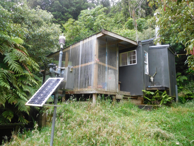 Te Mapou Hut - Te Urewera, Bay of Plenty | Hut Bagger