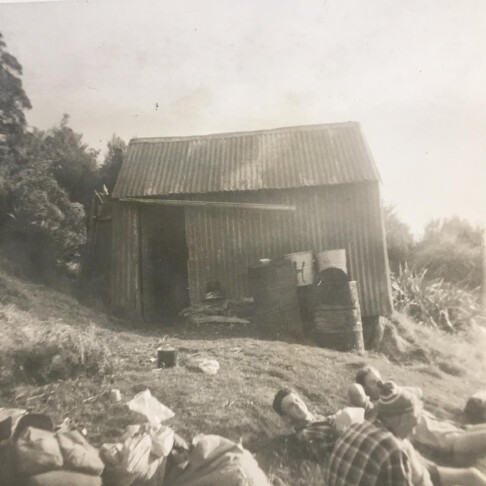 Purity Hut (old) - Ruahine Forest Park, Manawatū-Whanganui | Hut Bagger