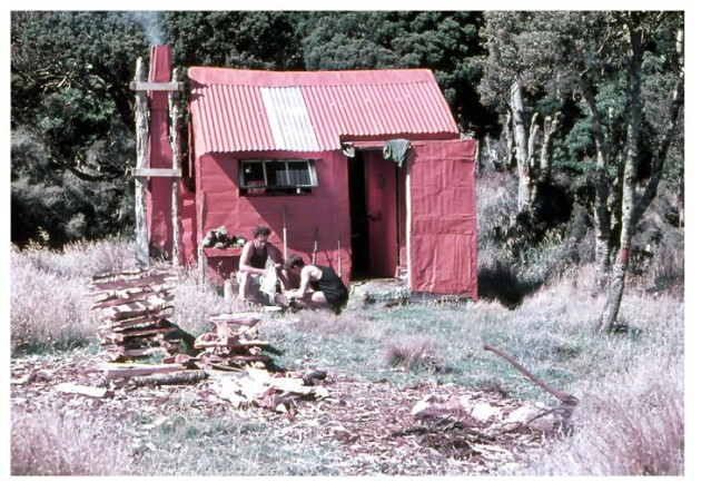 Ruahine Corner Hut No. 2 - Ruahine Forest Park, Manawatū-Whanganui ...