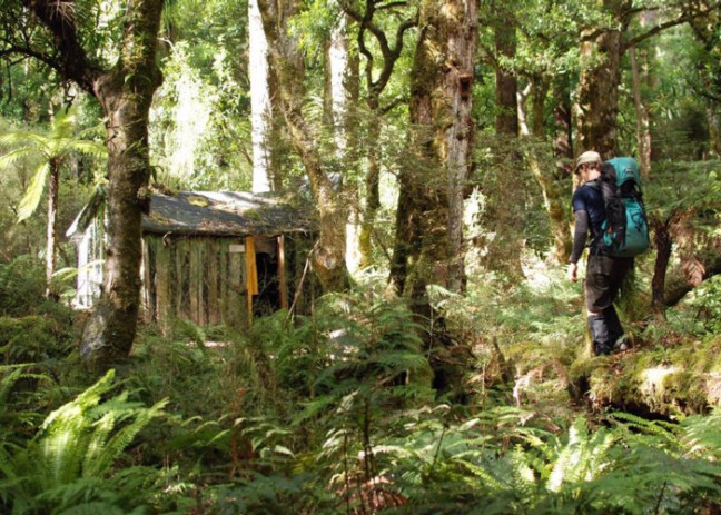 Tui Flat Hut (Gunston's Hut) - Te Urewera, Gisborne | Hut Bagger
