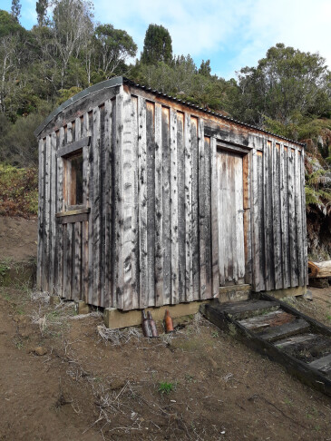 Camp No. 11 - Pureora Forest Park, Manawatū-Whanganui | Hut Bagger