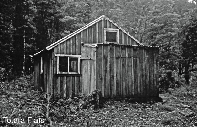 Totara Flats Hut No. 1 - Tararua Forest Park, Wellington | Hut Bagger