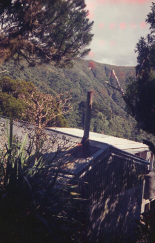 Putara Hut - Tararua Forest Park, Manawatū-Whanganui | Hut Bagger