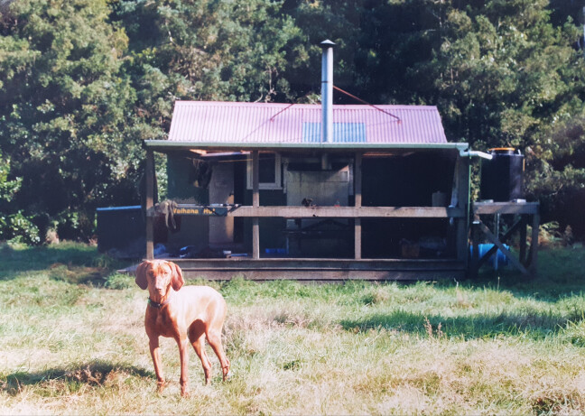 Waihaha Hut (old) - Pureora Forest Park, Waikato | Hut Bagger