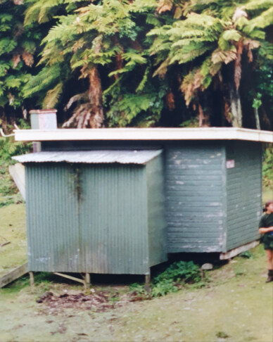 Makomako Hut (old) - Te Urewera, Bay of Plenty | Hut Bagger